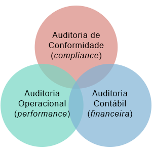 Normas Internacionais de Auditoria Financeira